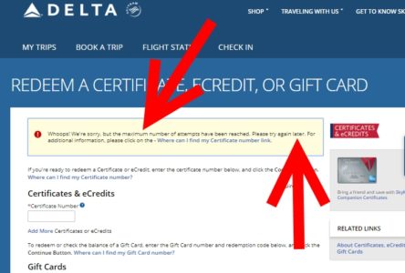 Rookie Sunday: How to check your Delta gift card balance? How many gift ...