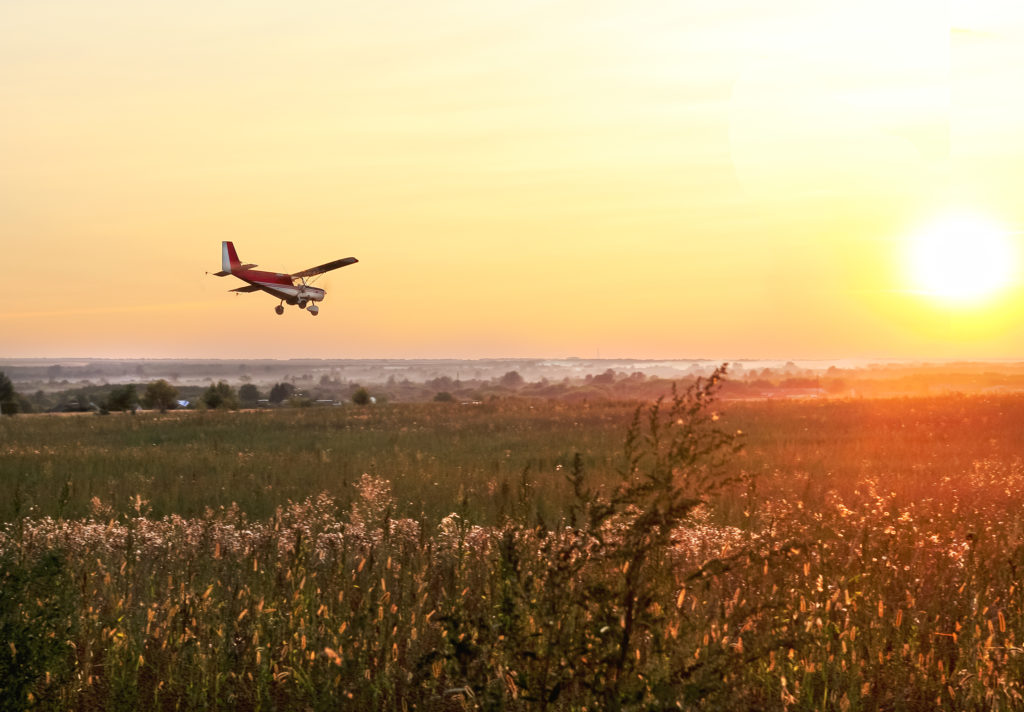 Low flying airplane flying above the green field on sunset. - Eye of ...