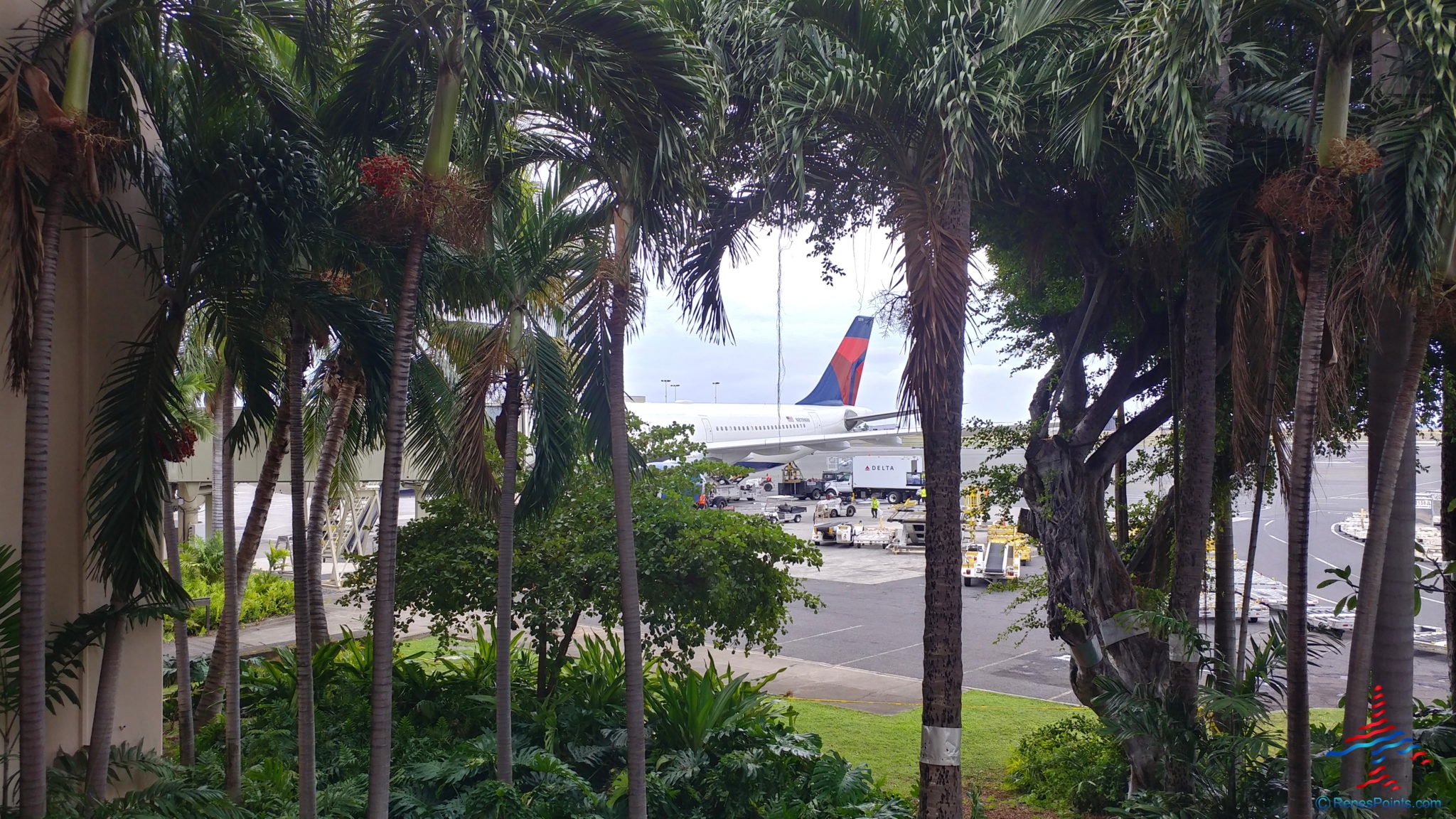 Review: A330 Delta One Business Class Minneapolis to Honolulu Hawaii ...