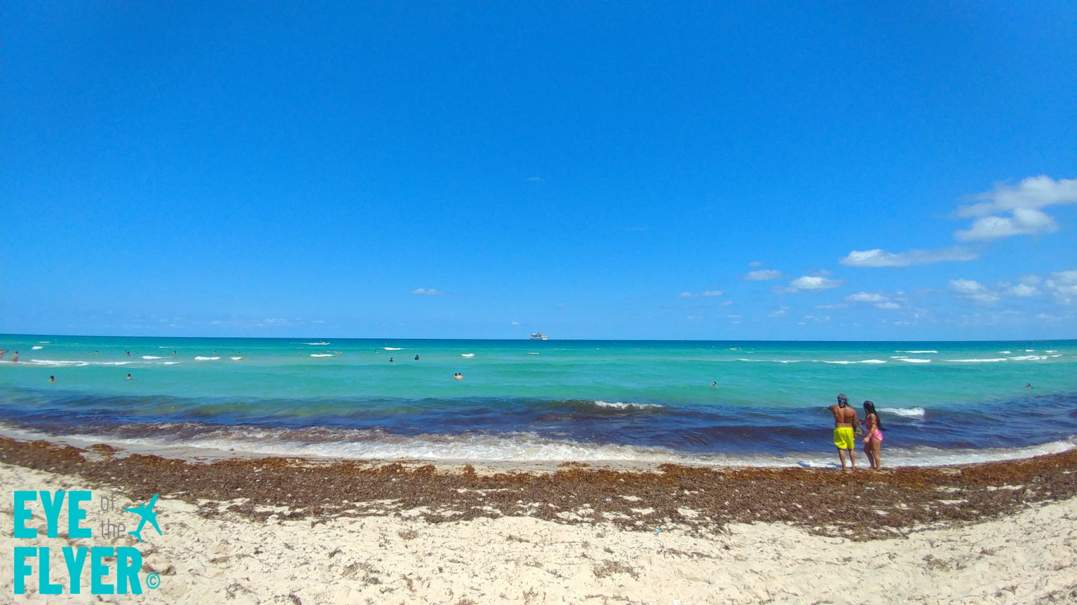 IHG Kimpton Surfcomber Hotel SouthBeach Miami Hotel Review May 2021 (12 ...