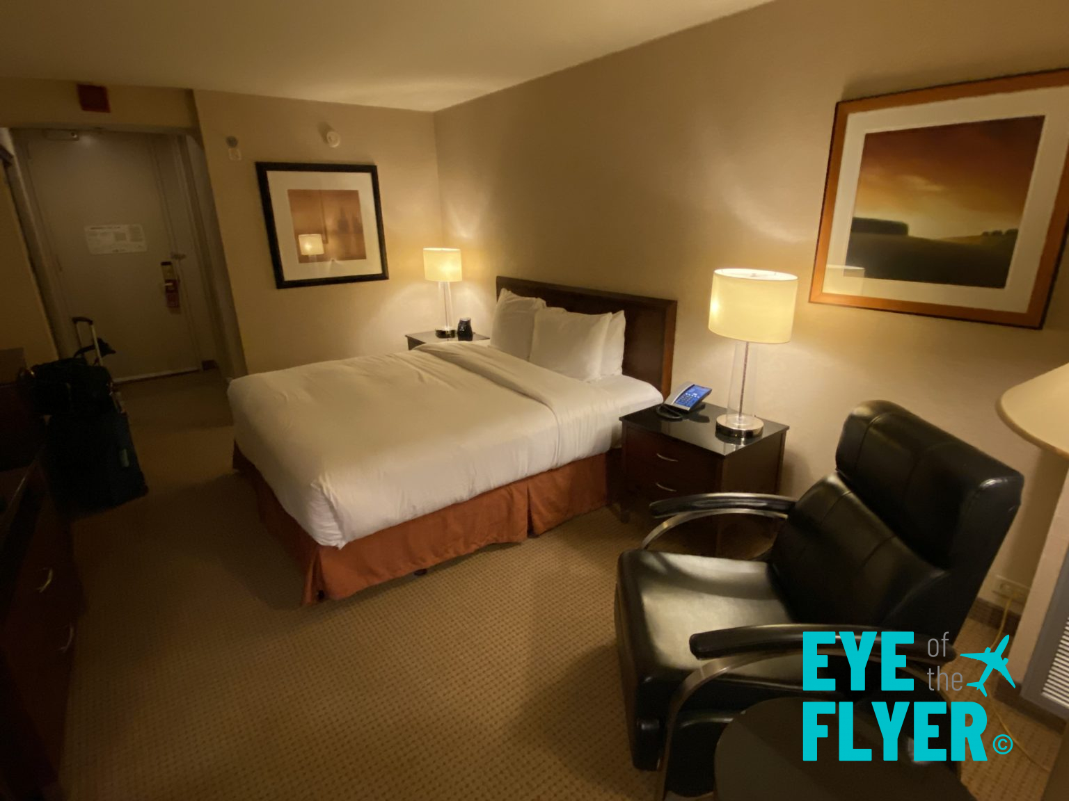 Hilton-Chicago-O'Hare-Airport-Hotel-King-Room - Eye of the Flyer