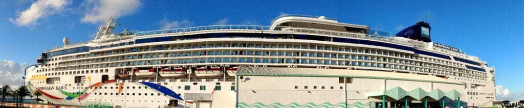 Why You Should Always Check-in ASAP With Norwegian Cruise Lines Online ...
