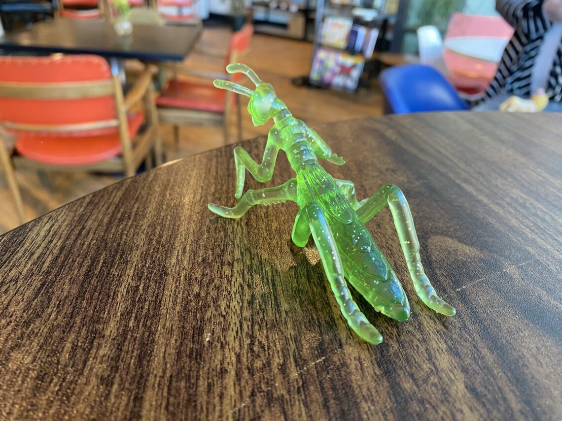 Our Visit to the “Best Jewish Deli Ever”(?) - Eye of the Flyer