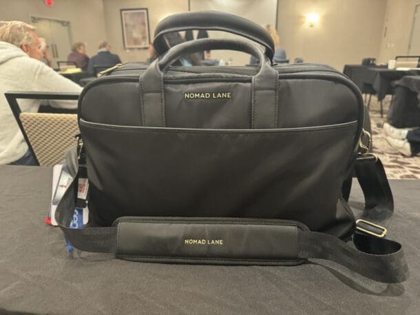 NEW Nomad Lane Bento Bag Review - Eye of the Flyer