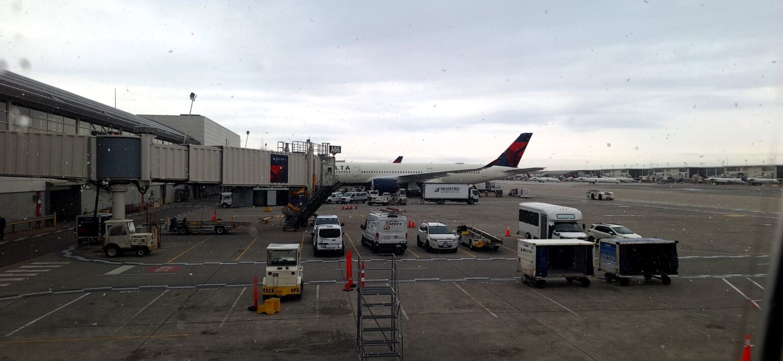 Delta First Class Lunch Review - Chicken Thighs in Gravy with Polenta ...