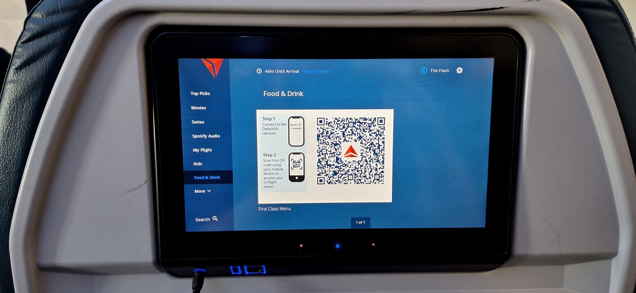 Delta First Class Lunch Review - Chicken Thighs in Gravy with Polenta ...