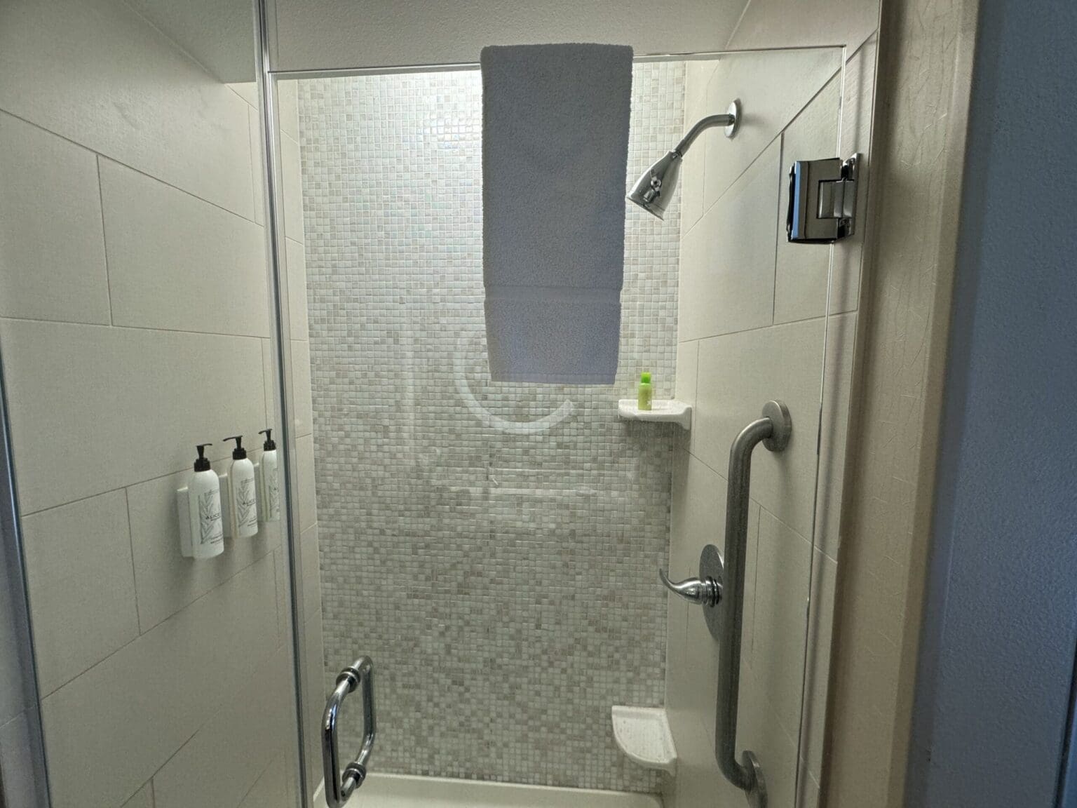 Marriott-SpringHill-Suites-Las-Vegas-Convention-Center-Hotel-Shower ...