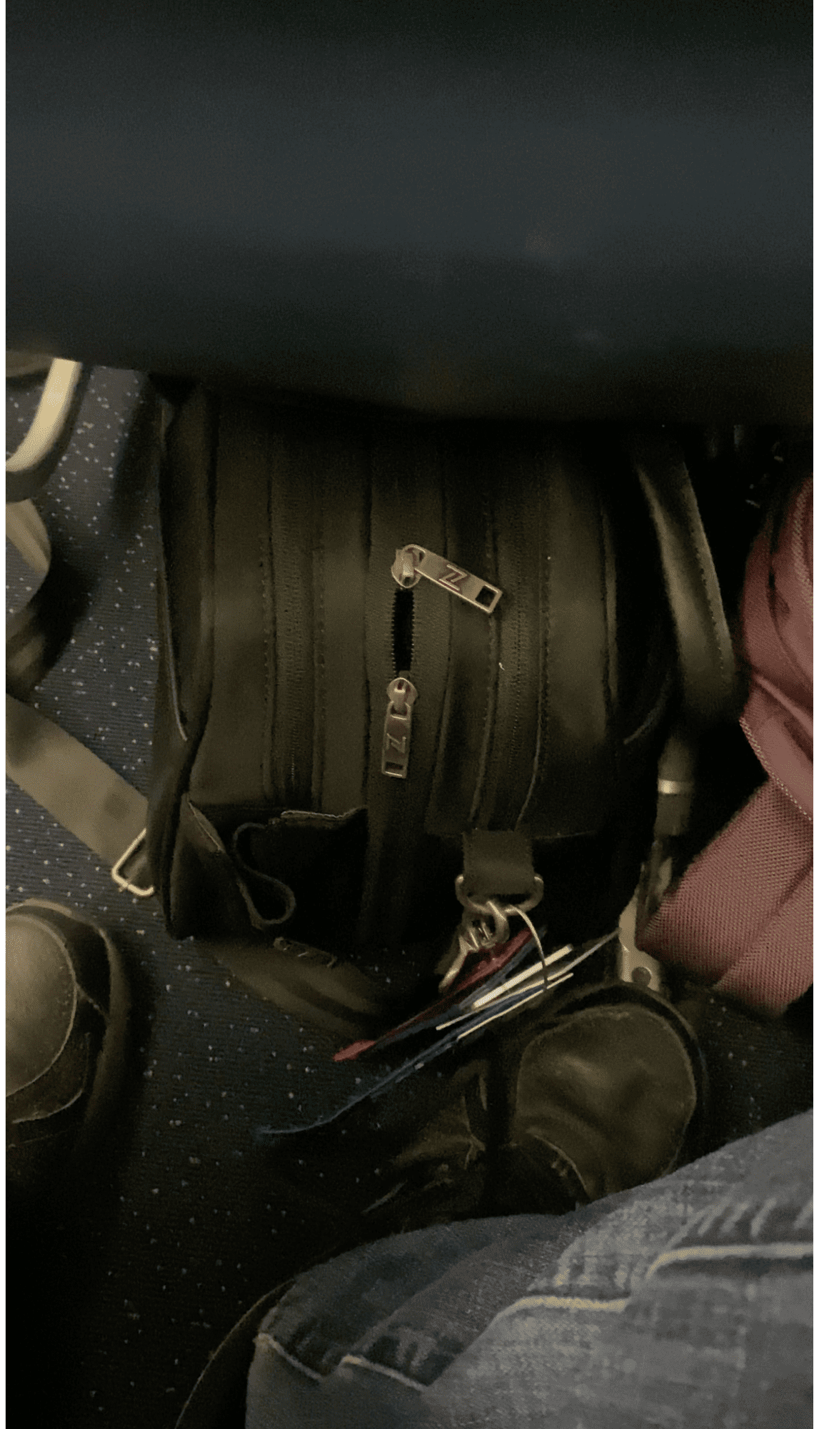 NEW Nomad Lane Bento Bag Review - Eye of the Flyer