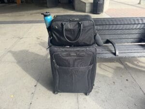 NEW Nomad Lane Bento Bag Review - Eye of the Flyer