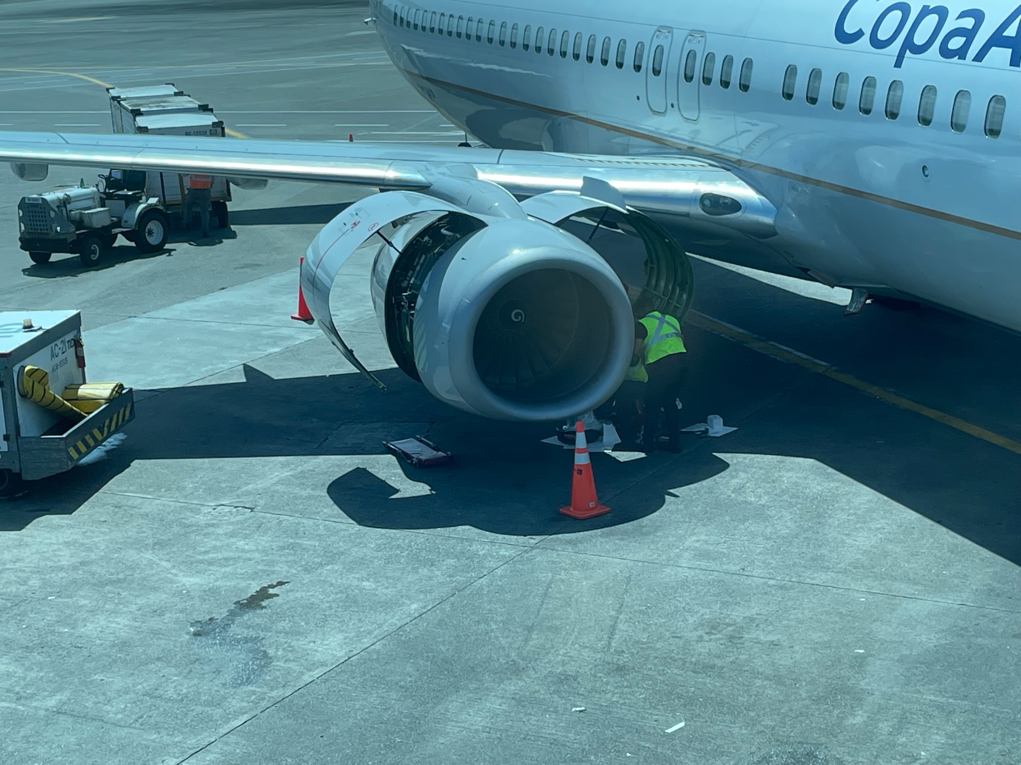 Copa Airlines 737 Engine Problems - Eye of the Flyer