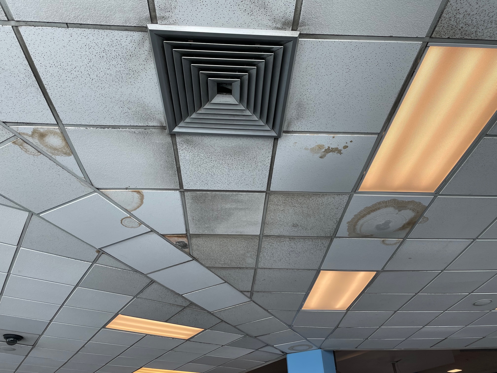 PTY Terminal 1 Moldy Ceiling - Eye of the Flyer