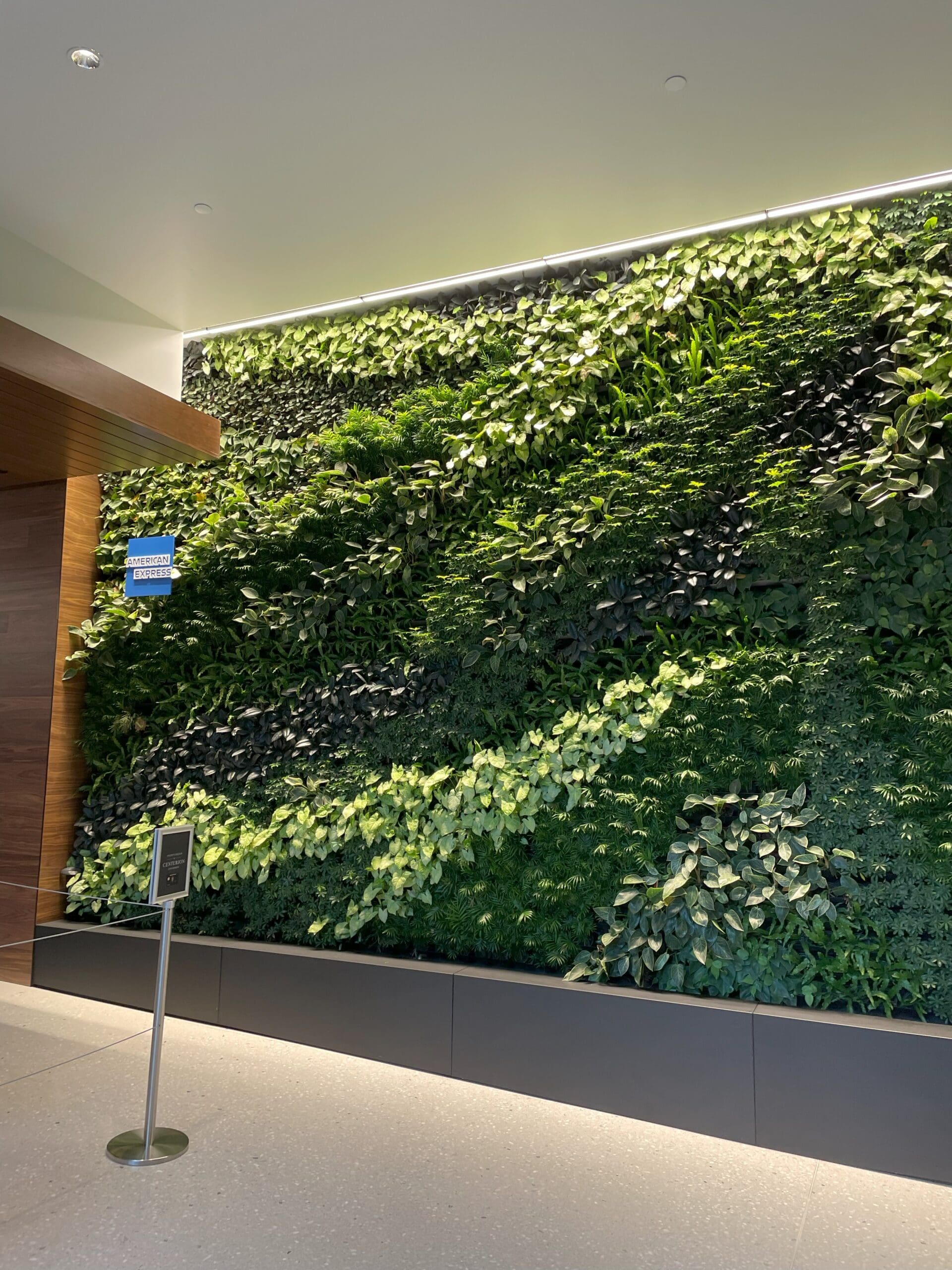 ATL American Express Centurion Lounge Green Wall - Eye of the Flyer
