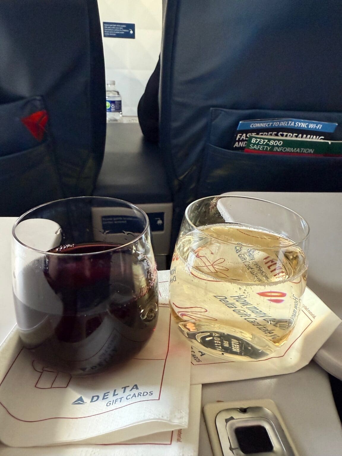 Getting to the Meat of It: Delta First Class Meal Service Between ...