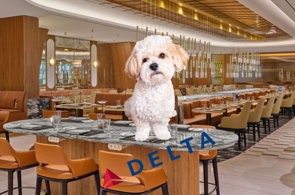 Dog Eats Off the Table in the New Delta One Lounge (Video) - Eye of the Flyer