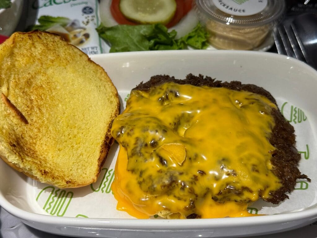 Is the Shake Shack Burger on Delta Any Good? (Review) - Eye of the Flyer